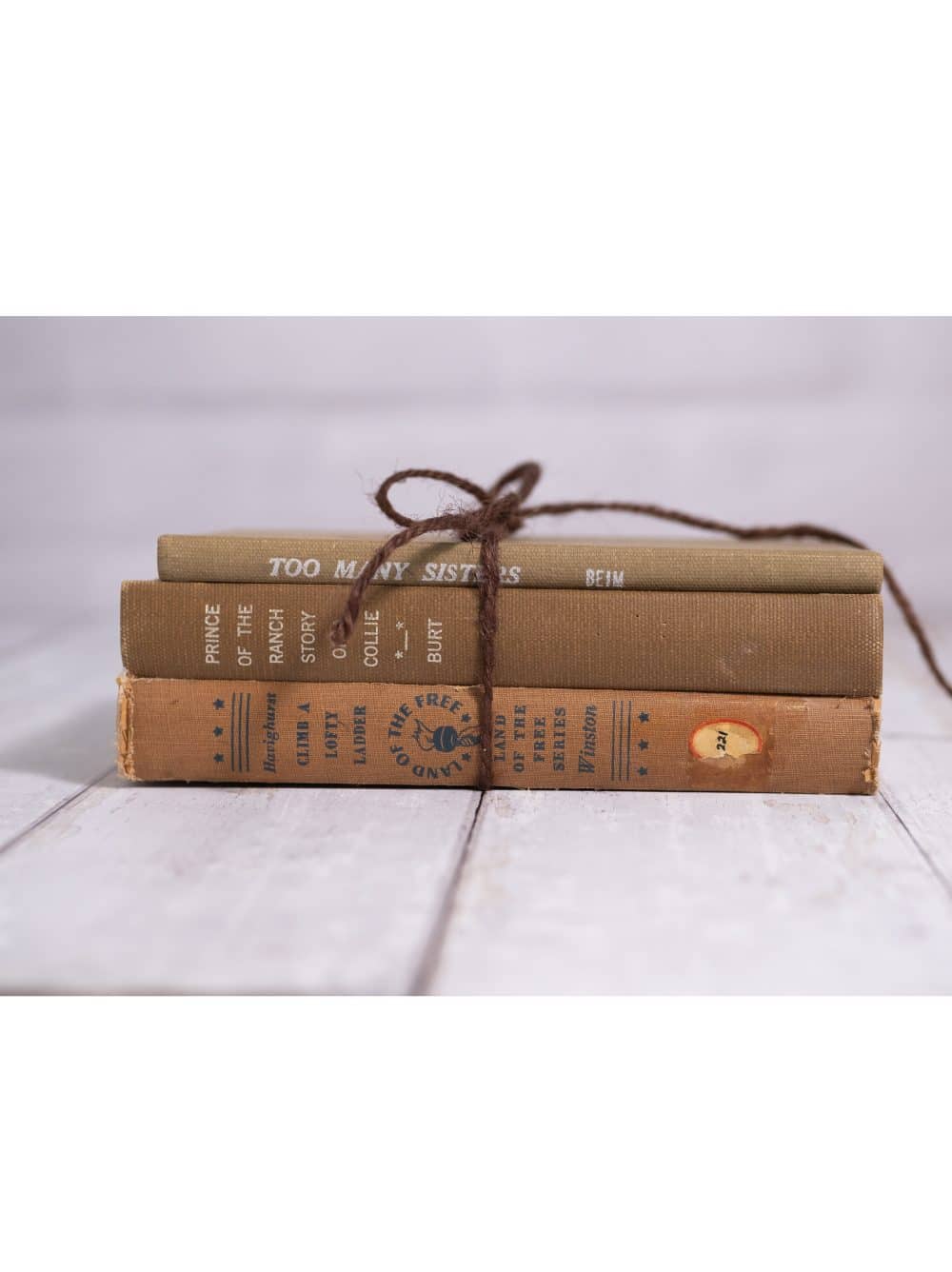 Decorative Vintage Book Set – Neutral Colors - Made Market Co.